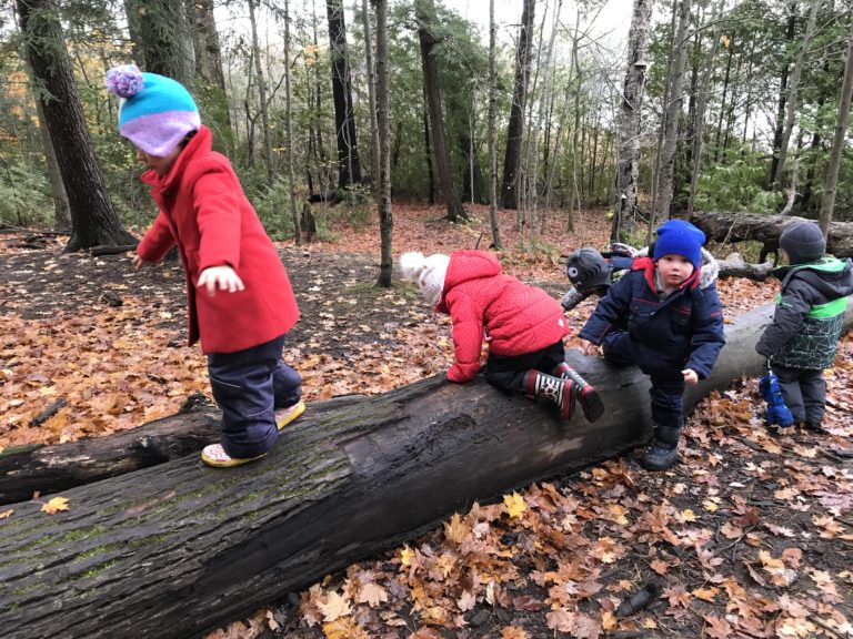 Indigenous Culture Celebration - Denison Child Care Services